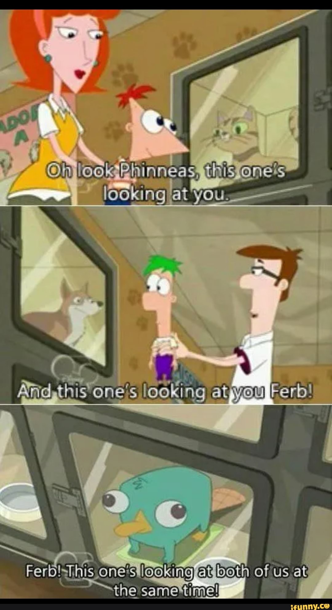 Berb memes. Best Collection of funny Berb pictures on iFunny