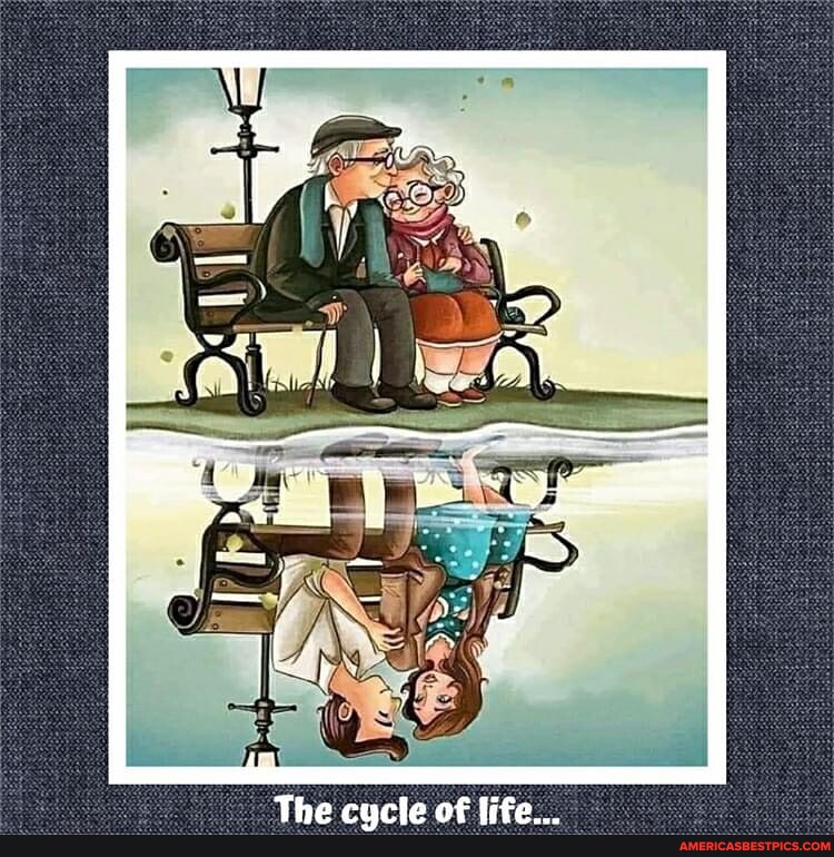 N/A - The cycle of life... - America’s best pics and videos