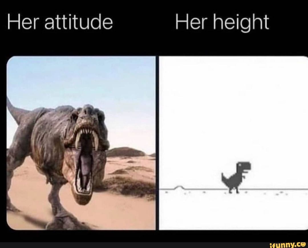 Her attitude Her height - iFunny