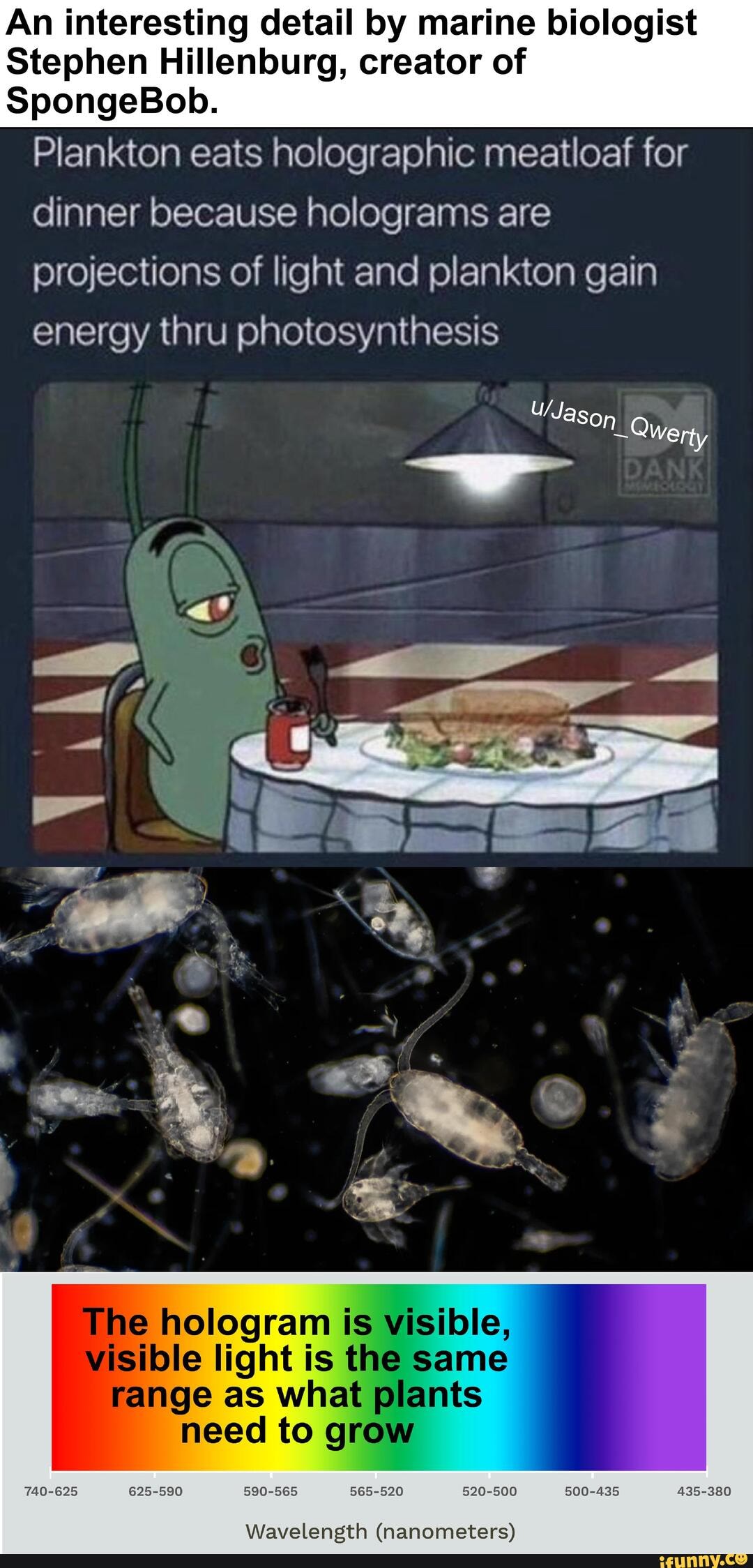 An interesting detail by marine biologist Stephen Hillenburg, creator ...