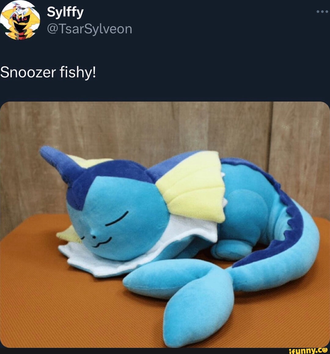 Snoozer memes. Best Collection of funny Snoozer pictures on iFunny