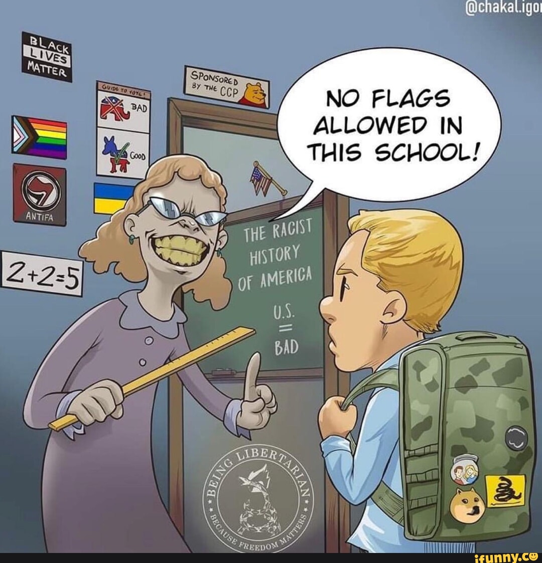 NO FLAGS ALLOWED IN THIS SCHOOL! / HISTORY - iFunny