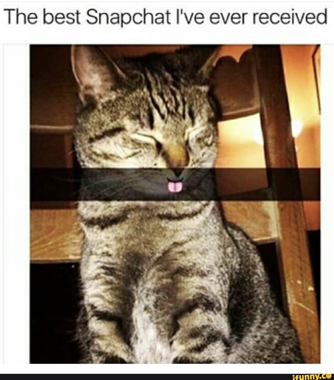 Well done - The best Snapchat I've ever received CD - iFunny