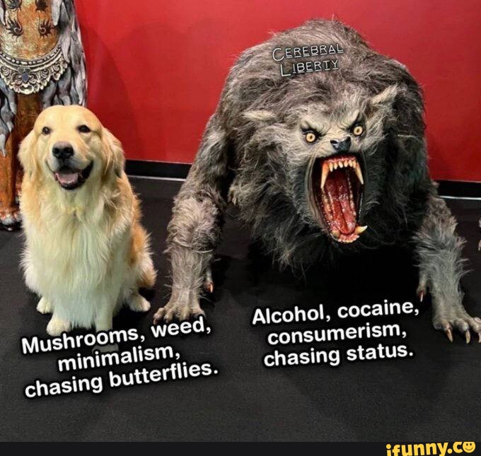 Consumerism memes. Best Collection of funny Consumerism pictures on iFunny