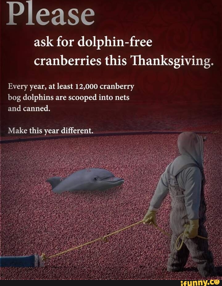 Cranberry memes. Best Collection of funny Cranberry pictures on iFunny