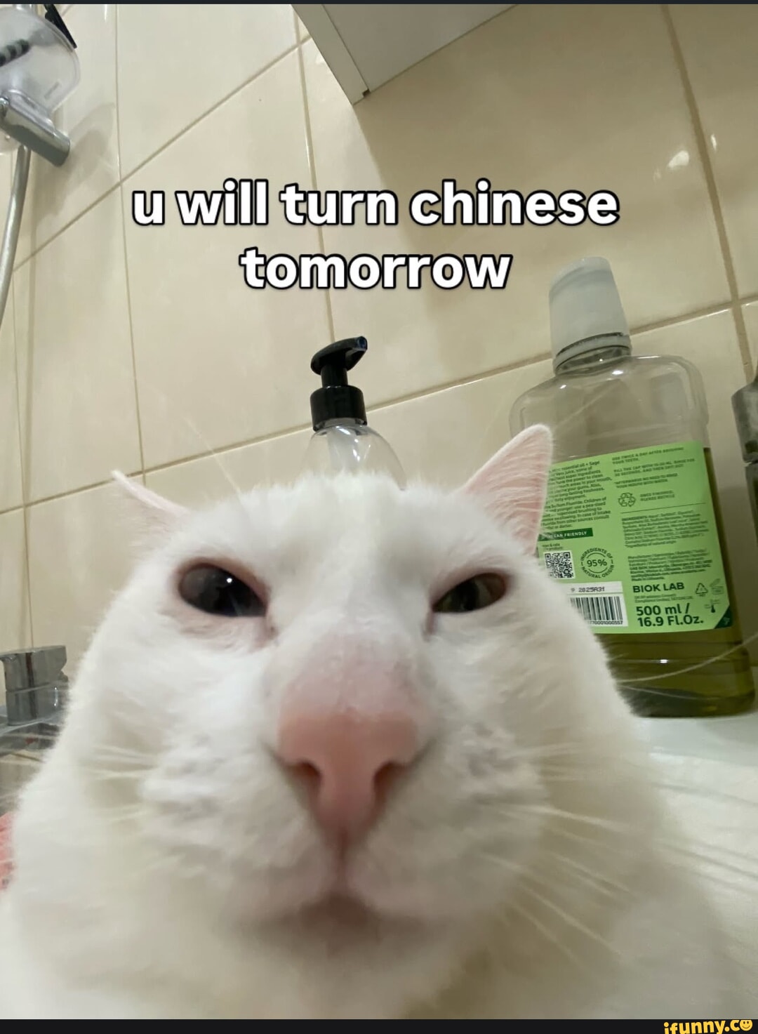 U will turn chinese tomorrow - iFunny