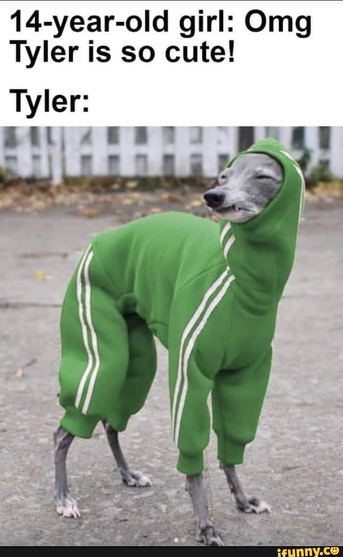 14-year-old girl: Omg Tyler is so cute! Tyler: - iFunny