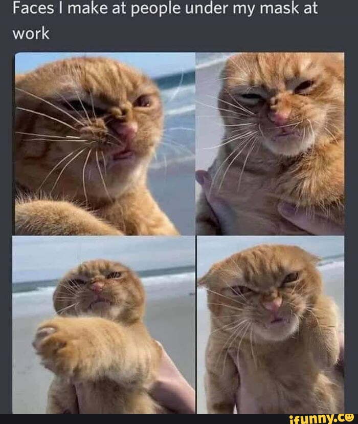 Is it just me or? - Faces I make at people under my mask at work - iFunny