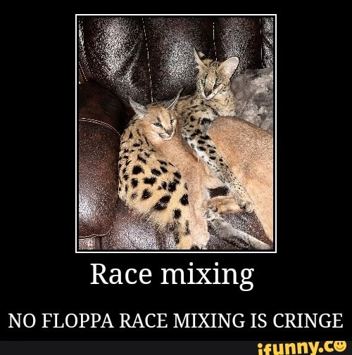 Race mixing NO FLOPPA RACE MIXING IS CRINGE - iFunny