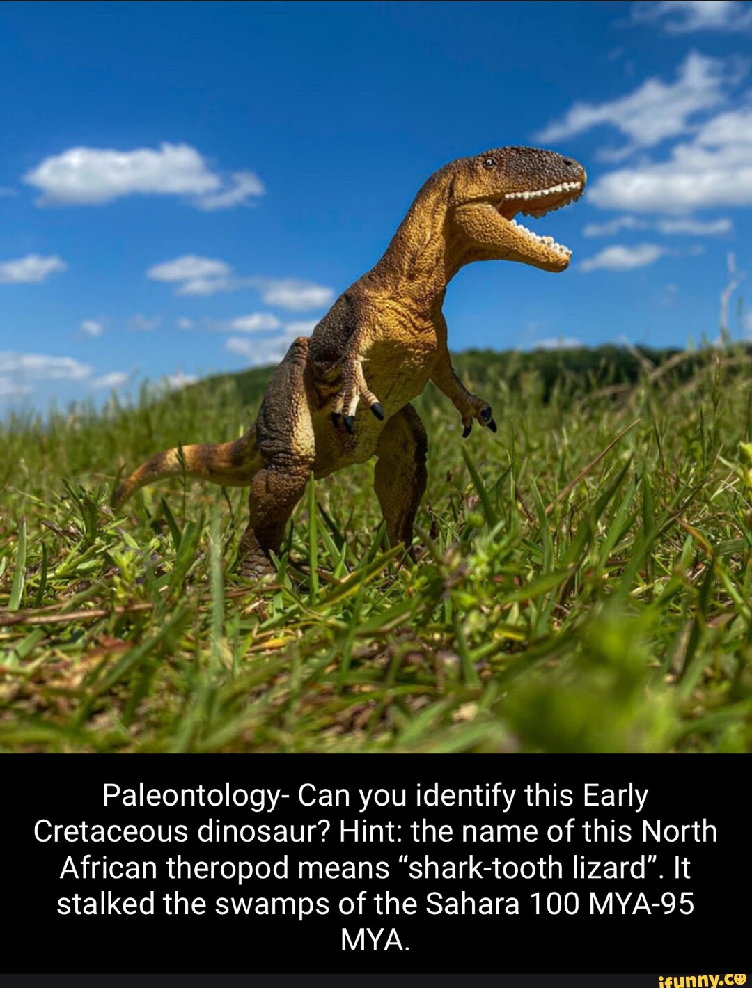 Paleontology- Can you identify this Early Cretaceous dinosaur? Hint ...