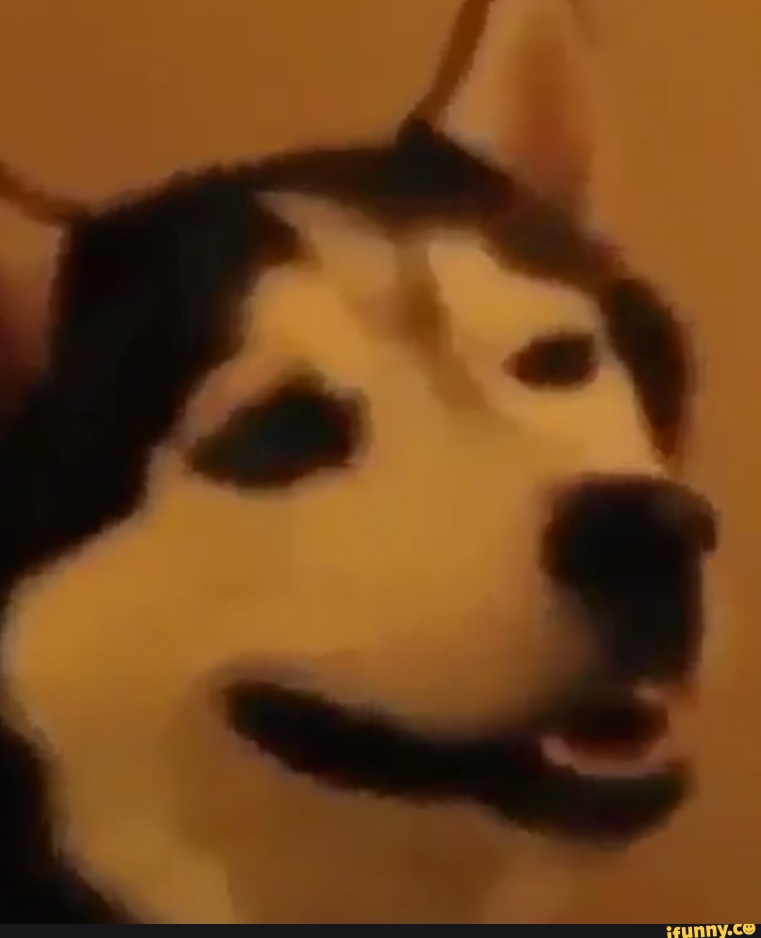 Alibaba_saluja_v_is_love memes. Best Collection of funny Alibaba_saluja ...