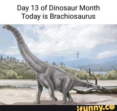 Brachiosaurus memes. Best Collection of funny Brachiosaurus pictures on ...