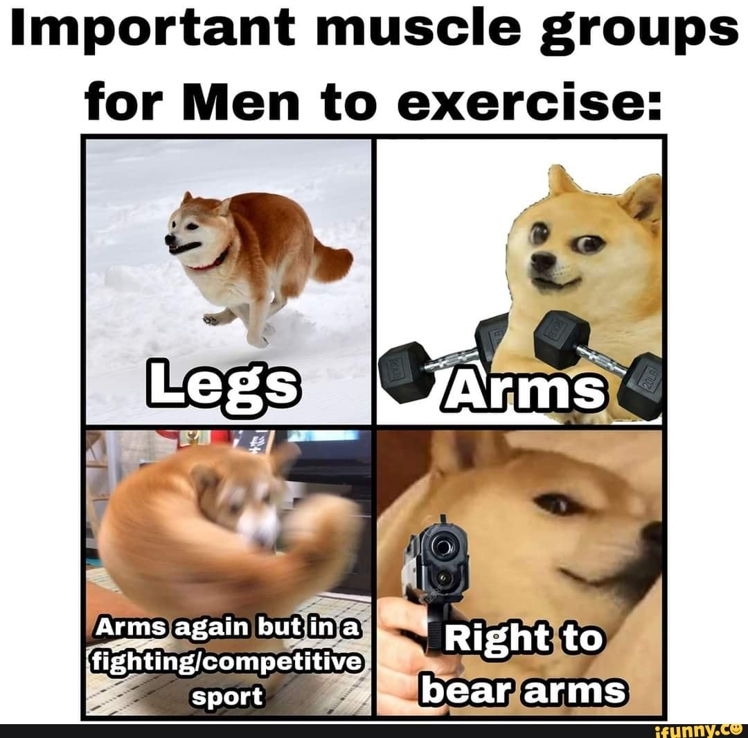 Important muscle groups for Men to exercise: Arms again )but Right to ...