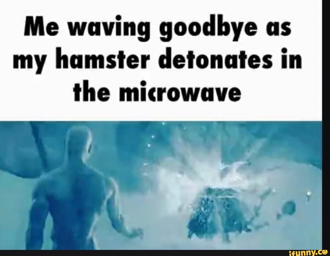 Me waving goodbye as my hamster detonates in the microwave - iFunny