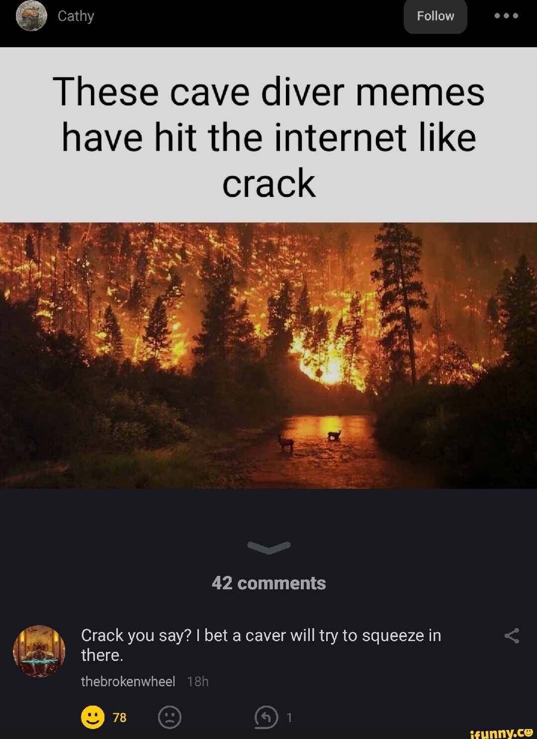 Cathy Follow These cave diver memes nave hit the internet like crack af ...