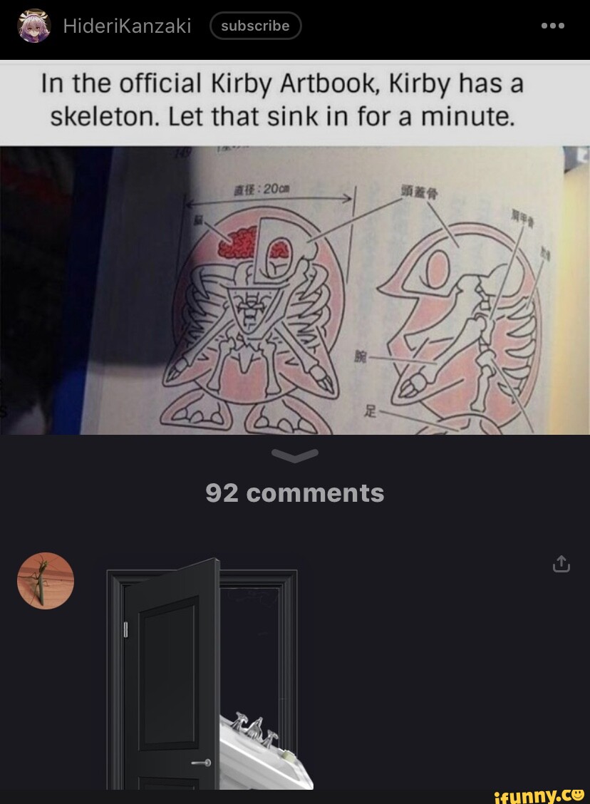 HideriKanzaki (subscribe In the official Kirby Artbook, Kirby has a ...