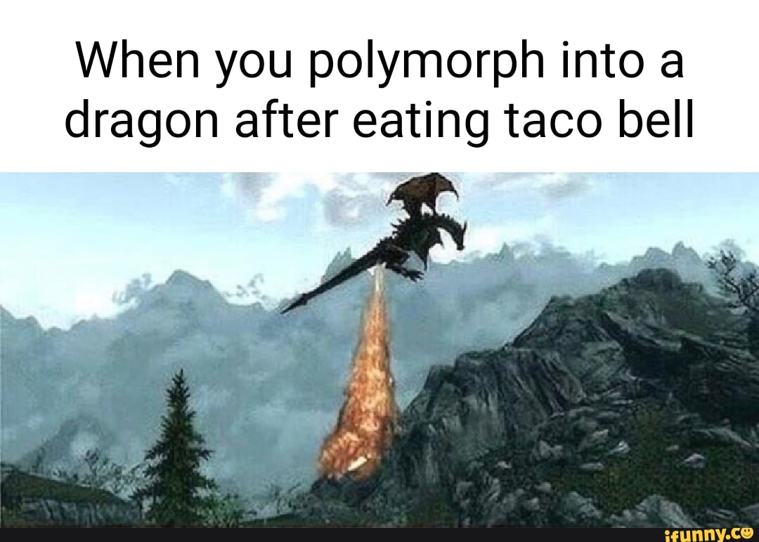 When you polymorph into a dragon after eating taco bell - iFunny