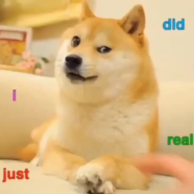 Fortnite butt on Instagram: “doge meme” - )