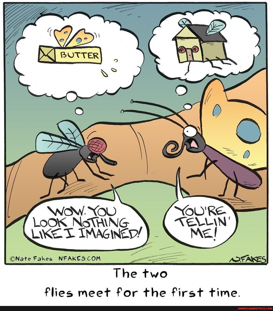 \WOW. LOOK NoTHIN LLKe TANNED! @Nate Fakes The two flies meet for the ...