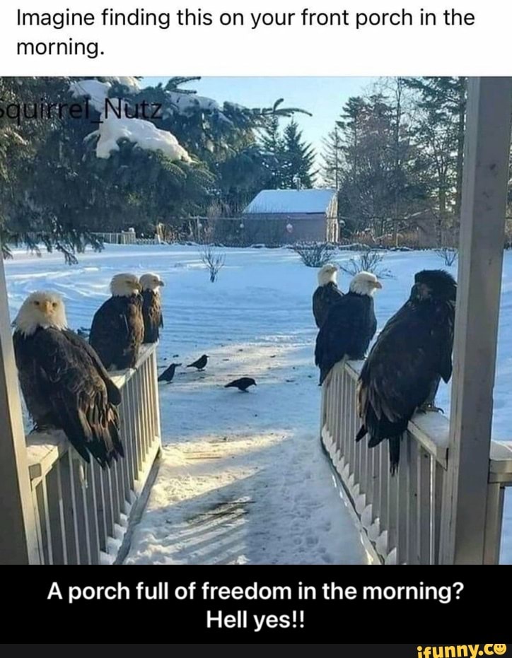 Mercia memes. Best Collection of funny Mercia pictures on iFunny