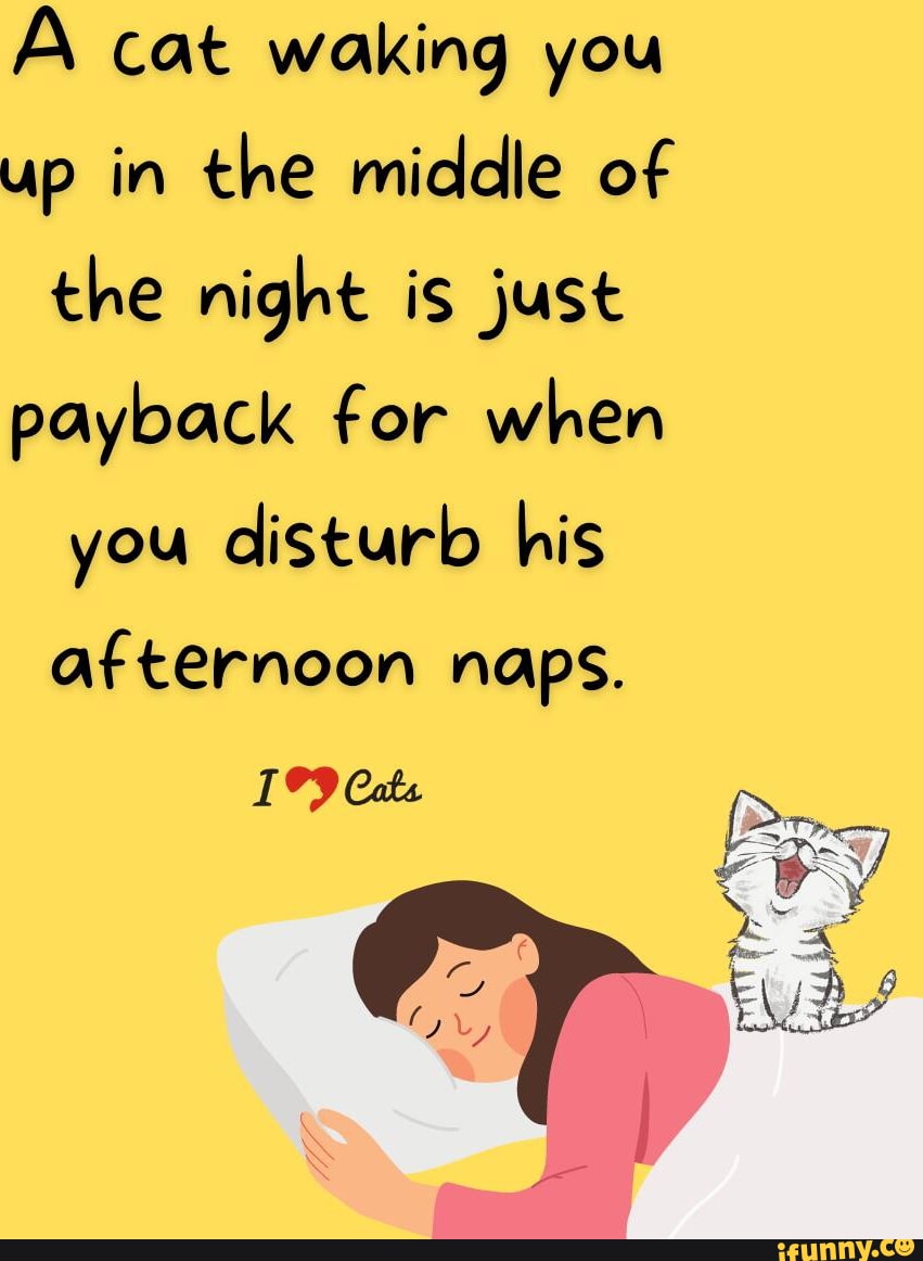 Payback memes. Best Collection of funny Payback pictures on iFunny