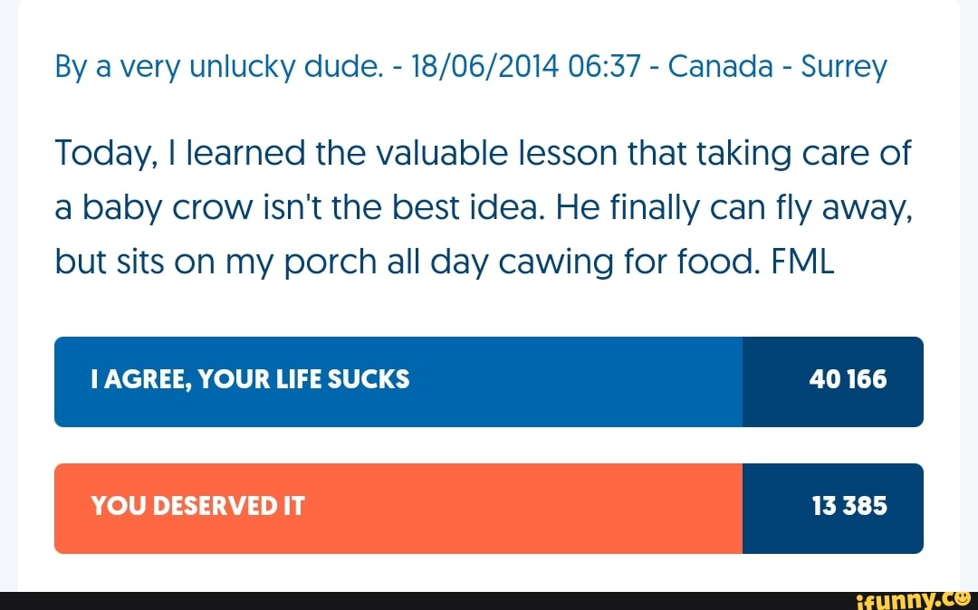 Surrey memes. Best Collection of funny Surrey pictures on iFunny