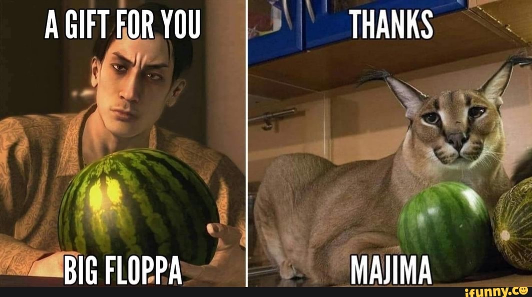 A GIFT FOR YOU THANKS BIG FLOPPA MAJIMA - iFunny