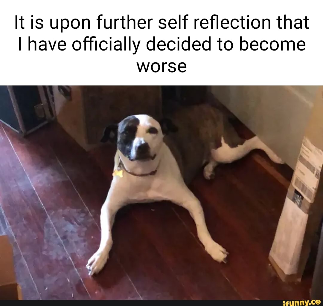 Lt is upon further self reflection that I have officially decided to ...