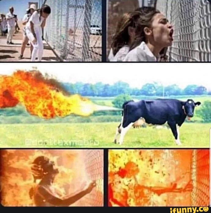 T2 memes. Best Collection of funny T2 pictures on iFunny