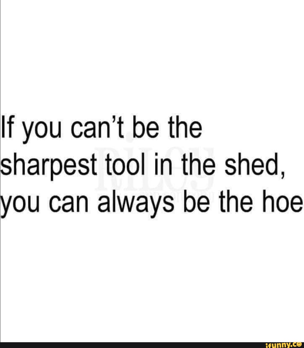 If you can't be the sharpest tool in the shed, you can always be the ...