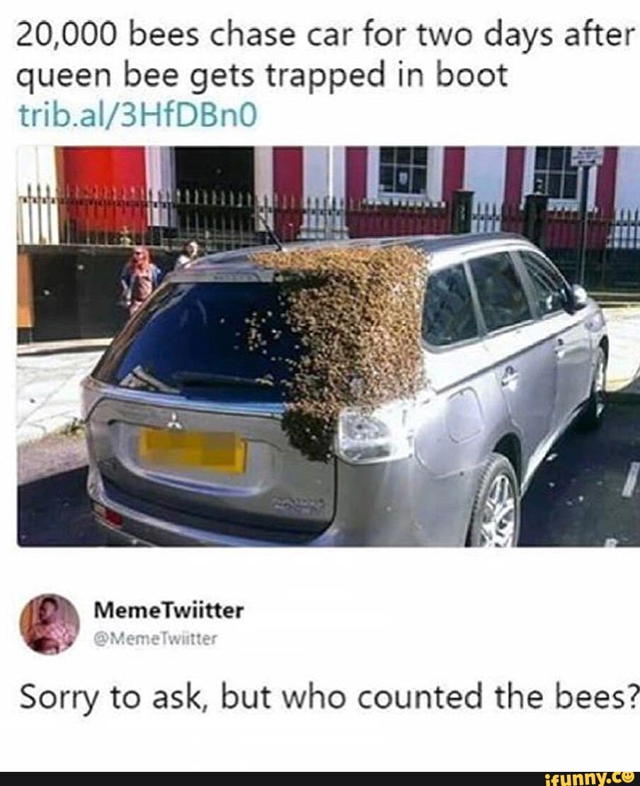 20,000 bees chase car for two days after queen bee gets trapped in boot ...