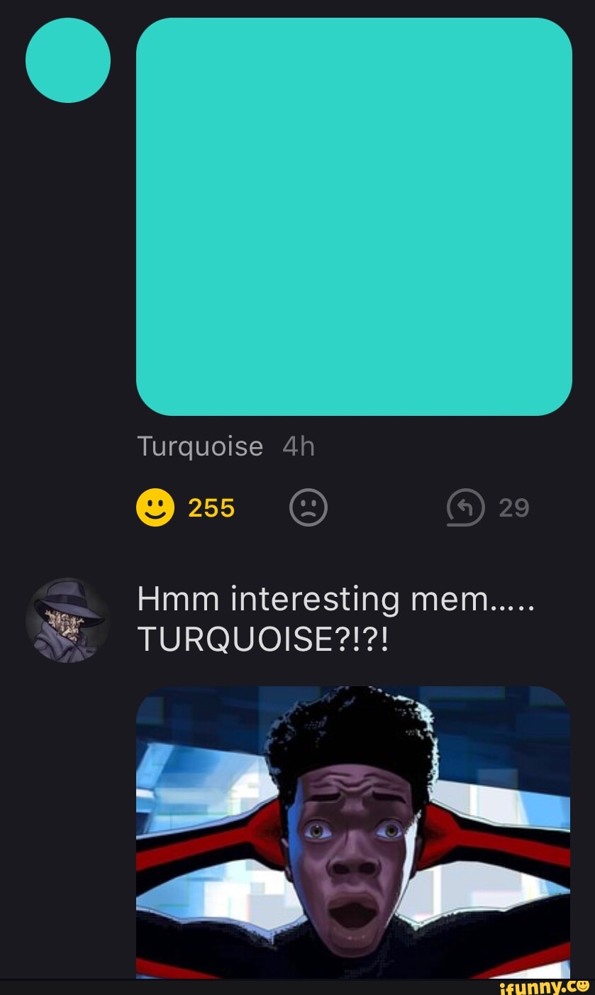We Turquoise 29 Hmm interesting mem..... TURQUOISE?!?! - iFunny