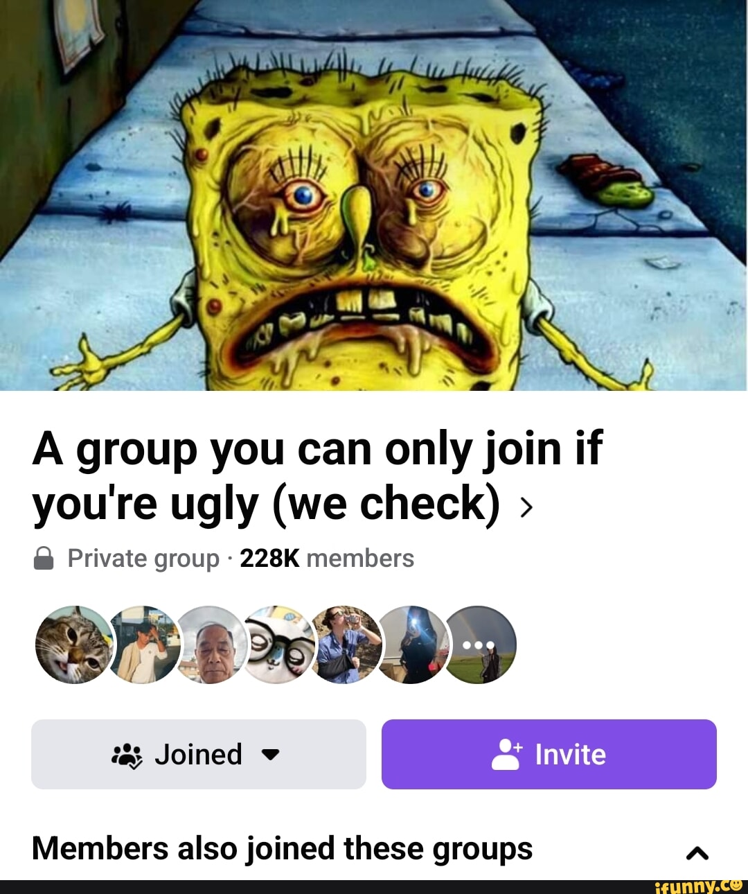 2B's ass has more than 300k polygons, which is more than all of Ocarina ...