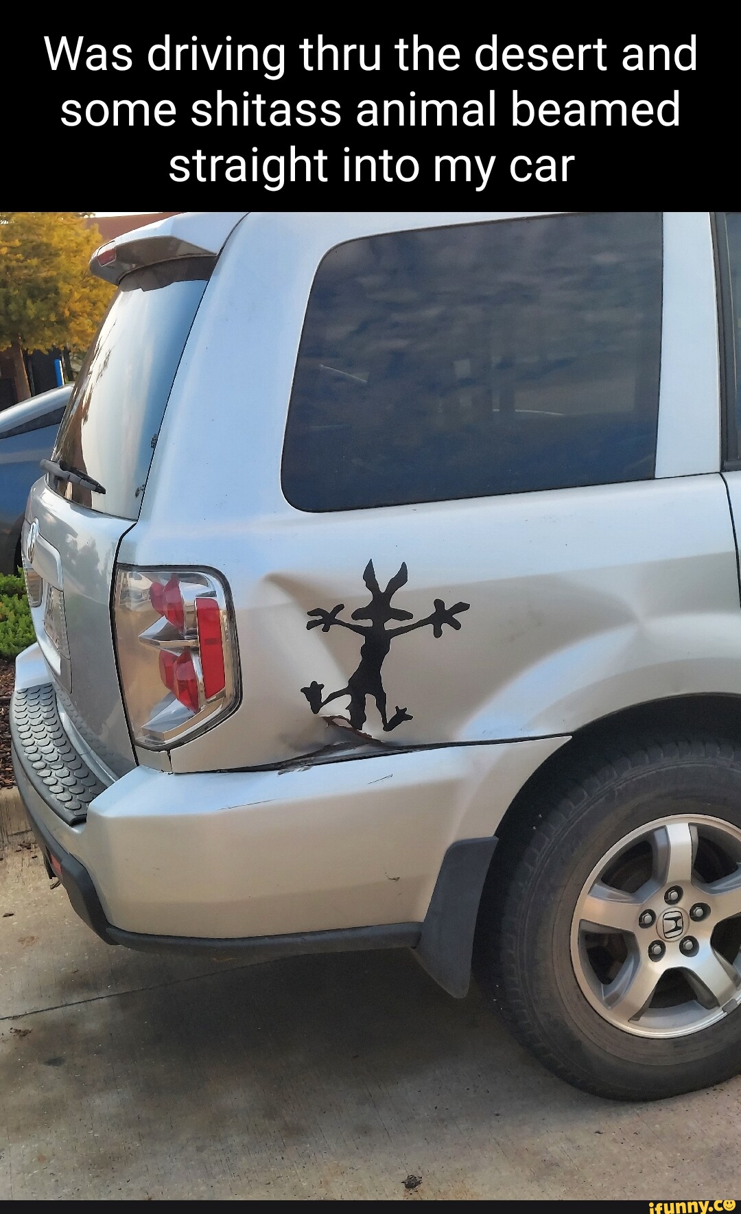 Was driving thru the desert and some shitass animal beamed straight ...