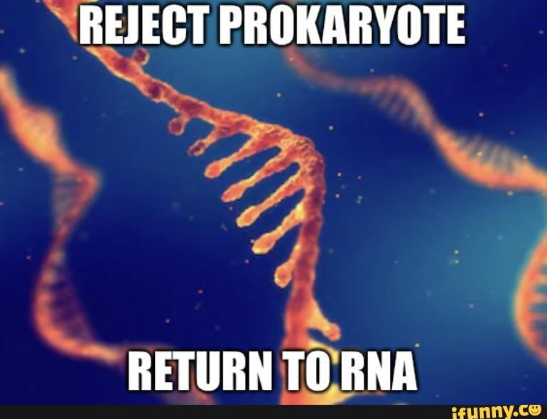 Prokaryote memes. Best Collection of funny Prokaryote pictures on iFunny