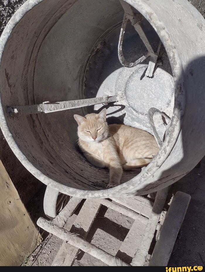 Bricklayer memes. Best Collection of funny Bricklayer pictures on iFunny