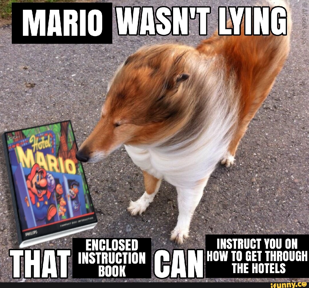 Video memes QGevAFxZA by Ferd: 10 comments - iFunny