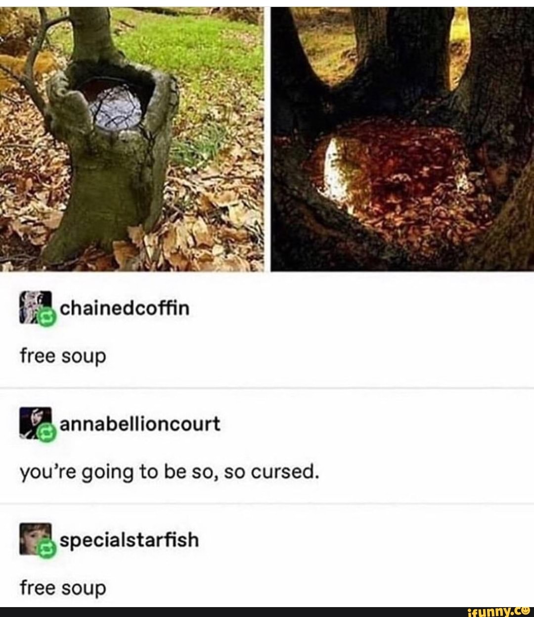 You’re going to be so, so cursed. free soup - iFunny