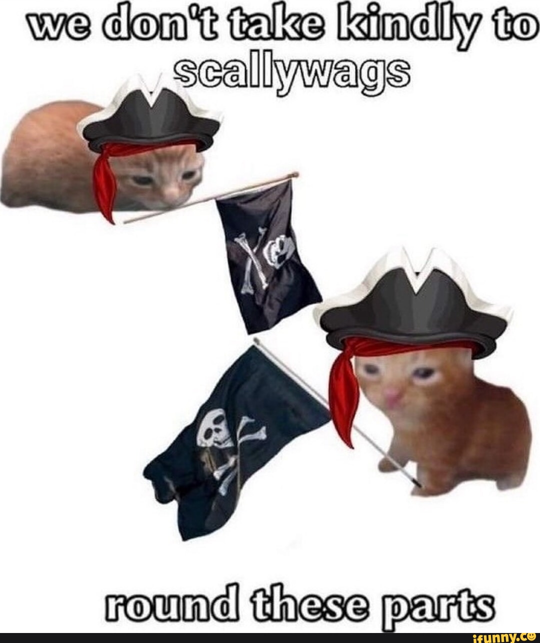 We don't tale to _scallywags round these parts - iFunny