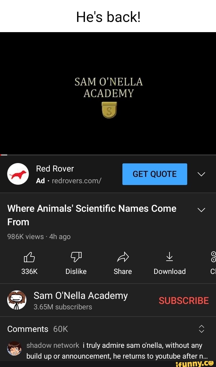 Redrovers memes. Best Collection of funny Redrovers pictures on iFunny