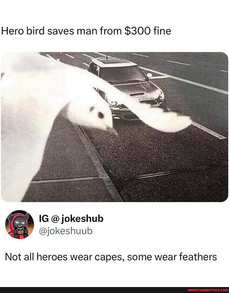 What a legend - - - #memes #meme #lmao #lol #funny #funnymemes - Hero ...
