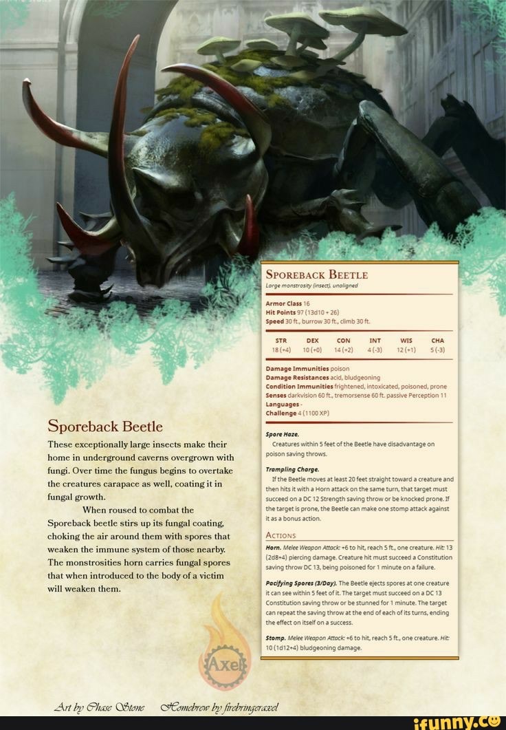 Sporeback Beetle These exceptionally large insects make their home in ...