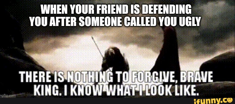 WHEN YOUR FRIEND IS DEFENDING YOU AFTER SOMEONE CALLED YOU UGLY THERE ...