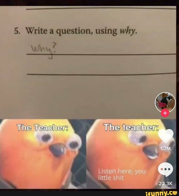 5. Write a question, using why. The Teacher The teachere - iFunny