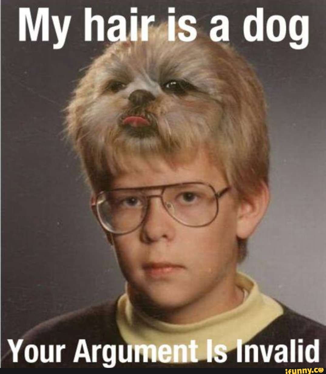 Your Argument Is Invalid Meme Harry Potter