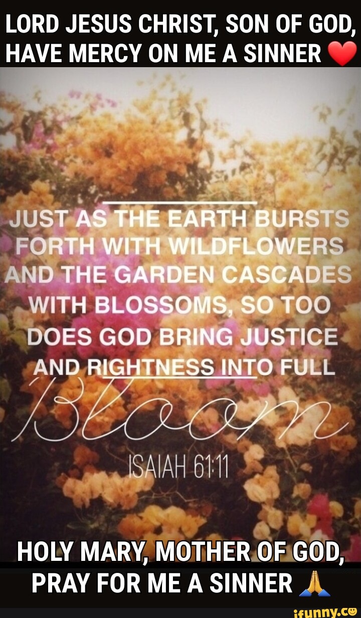 Wildflowers memes. Best Collection of funny Wildflowers pictures on iFunny