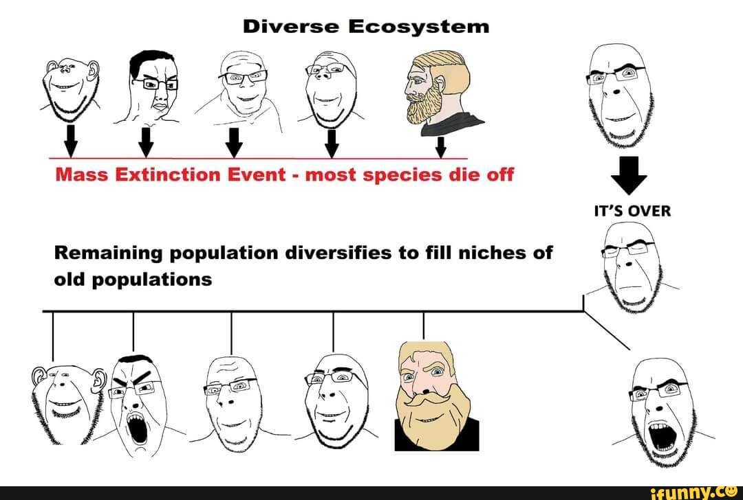 Diverse Ecosystem By Mass Extinction Event - most species die off IT'S ...