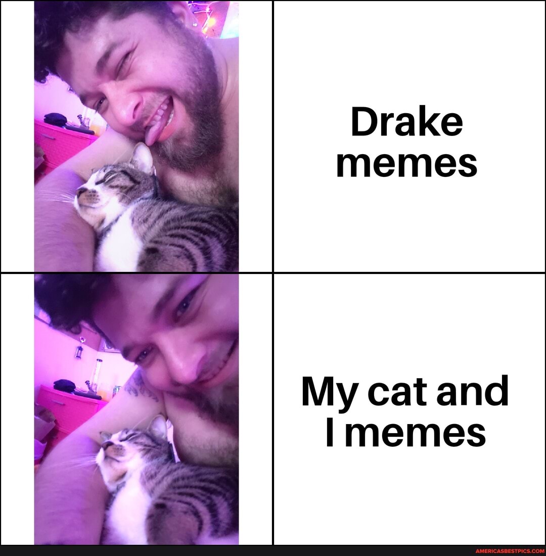 Drake memes My cat and memes - America’s best pics and videos