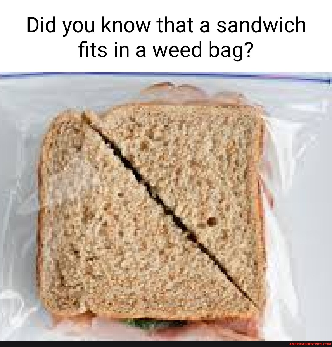Did you know that a sandwich fits ina weed bag? - America’s best pics ...
