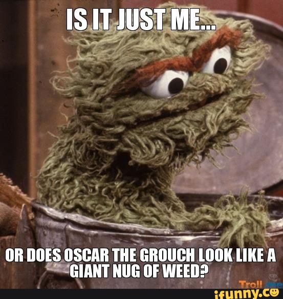 IS IT JUST ME... OR DOES OSCAR THE GROUCH LOOK LIKE A GIANT NUG OF WEED ...